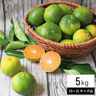 dショッピング |【5kg／2S~2Lサイズ込】極早生 吉田みかん ※ご家庭用 | カテゴリ：果物の販売できる商品 | バリューマルシェ (020800000926342)|ドコモの通販サイト