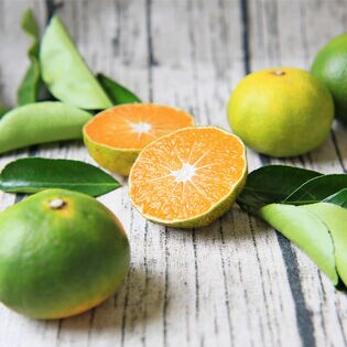 【予約受付】9/20-順次出荷【5kg/2S-2Lサイズ込】極早生 吉田みかん ※ご家庭用を税込・送料込でお試し ｜ サンプル百貨店 | 株式会社フレッシュつちやま