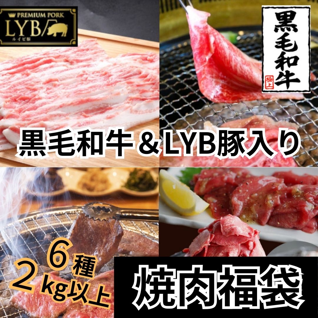 【6種2kg以上】「焼肉福袋」黒毛和牛・静岡県産ブランド豚LYB豚入りを税込・送料込でお試し ｜ サンプル百貨店 | 株式会社マジカルクリエイトサービス